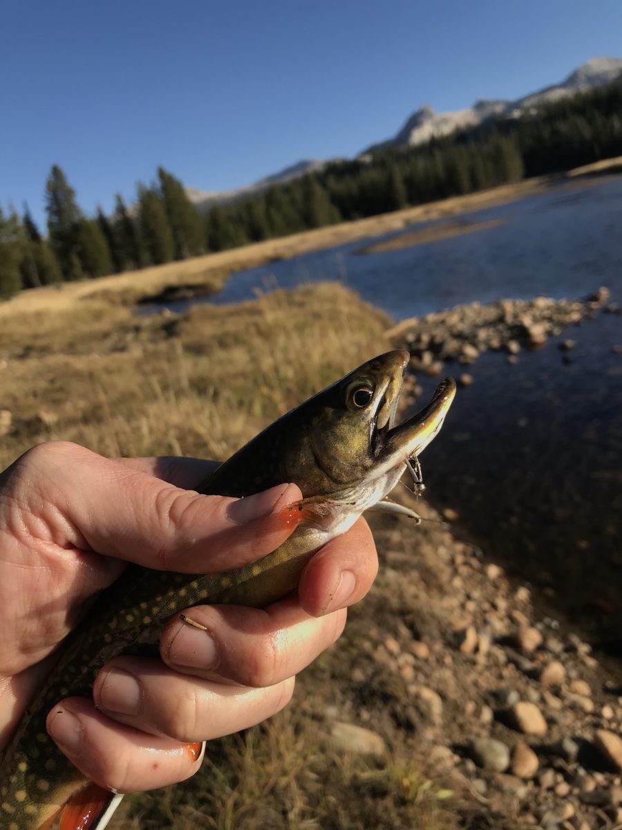 Fly Fishing by J R Hartley (or H J Hamilton) – OurGlobalAdventure